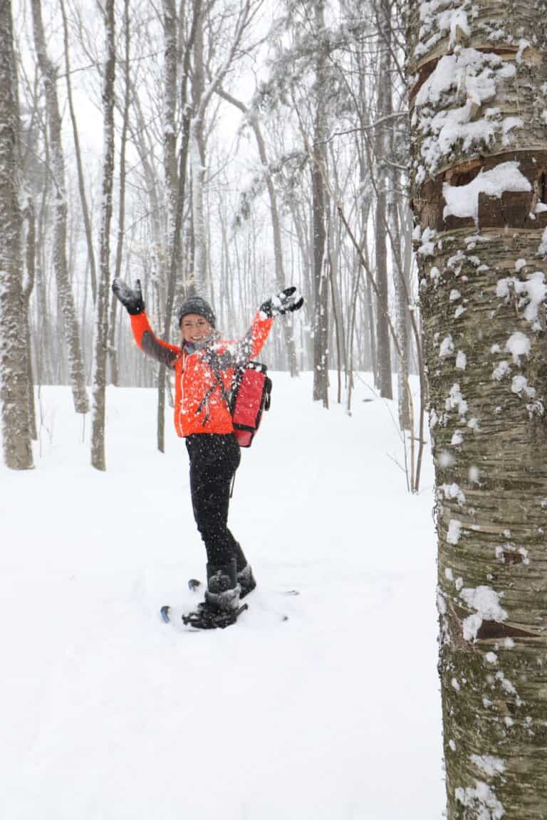 Gatto Matto - Tourisme Laval