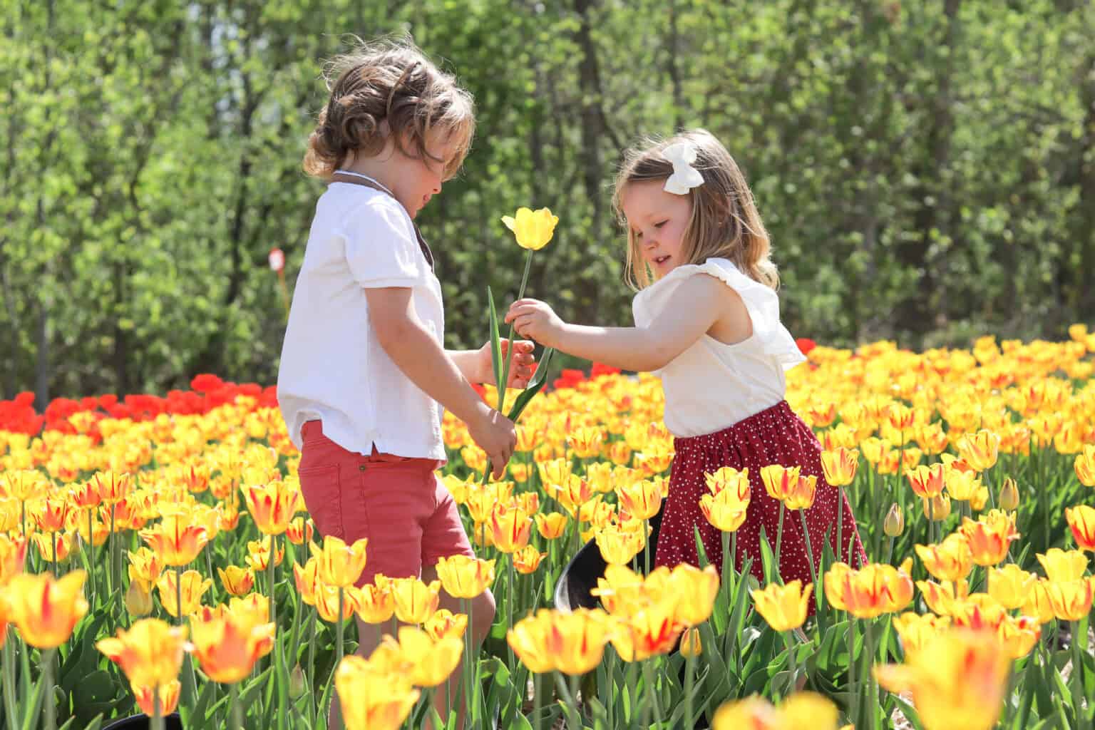 Activités gratuites à faire à Laval - Tourisme Laval